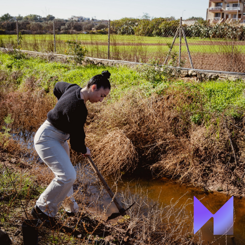 MGA plants a tree for every new employee! - Malta Gaming Authority